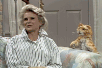 Toonces GIFs - Get the best gif on GIFER