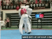 Taekwondo GIFs - Get the best gif on GIFER