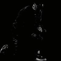 Travis GIFs - Get the best gif on GIFER
