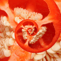 Pepper GIFs - Get the best gif on GIFER