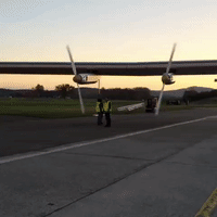 Swiss GIFs - Get the best gif on GIFER