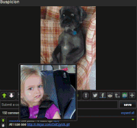 Suspect GIFs - Get the best gif on GIFER