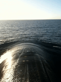 Submarine GIFs - Get the best gif on GIFER