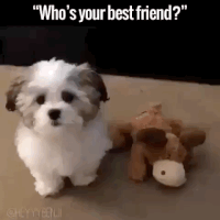 Unexpected GIFs - Get the best gif on GIFER