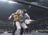 Wcw GIFs - Get the best gif on GIFER