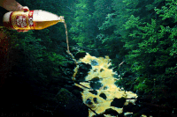 D12 GIFs - Get the best gif on GIFER