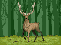 Elk GIFs - Get the best gif on GIFER