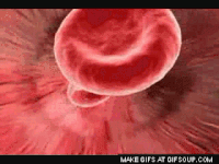 Cell GIFs - Get the best gif on GIFER