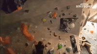 Rope climbing GIFs - Get the best gif on GIFER