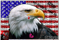 Patriotic GIFs - Get the best gif on GIFER