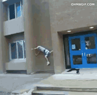 Faceplant GIFs - Get the best gif on GIFER
