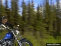 Hasselhoff GIFs - Get the best gif on GIFER