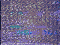 Realm GIFs - Get the best gif on GIFER