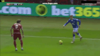Middlesbrough GIFs - Get the best gif on GIFER