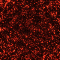 Coal GIFs - Get the best gif on GIFER