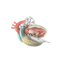 Anatomy GIFs - Get the best gif on GIFER