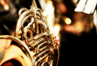 Bip GIFs - Get the best gif on GIFER