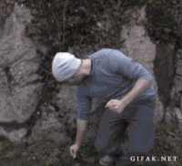 Propose GIFs - Get the best gif on GIFER