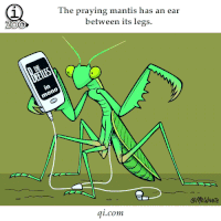 Prey GIFs - Get the best gif on GIFER