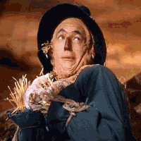 Consumer GIFs - Get the best gif on GIFER