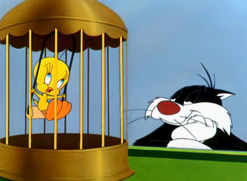 Tweety GIFs - Get the best gif on GIFER