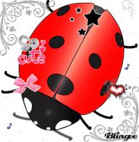 Ladybugs GIFs - Get the best gif on GIFER