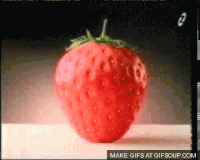 Strawberries GIFs - Get the best gif on GIFER