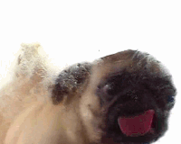 Lcd GIFs - Get the best gif on GIFER