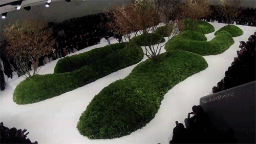 Christian dior show GIF - Conseguir el mejor gif en GIFER