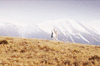 Gondor GIFs - Get the best gif on GIFER