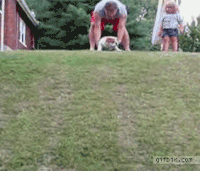 Warranty GIFs - Get the best gif on GIFER