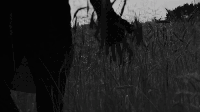 Behemoth GIFs - Get the best gif on GIFER