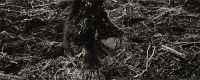 Nazgul GIFs - Get the best gif on GIFER