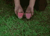 Chattering GIFs - Get the best gif on GIFER