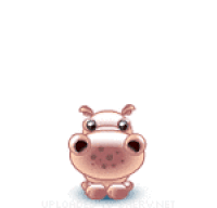 Hippo GIFs - Get the best gif on GIFER