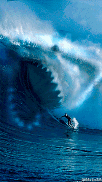 Surfing GIFs - Get the best gif on GIFER