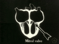 Diagram GIFs - Get the best gif on GIFER