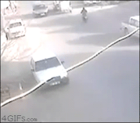 Trunk GIFs - Get the best gif on GIFER