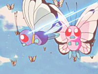 Butterfree GIFs - Get the best gif on GIFER