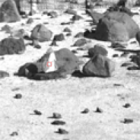 Propulsion GIFs - Get the best gif on GIFER