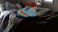 Dash GIFs - Get the best gif on GIFER