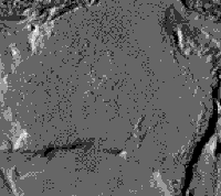 Grayscale GIFs - Get the best gif on GIFER