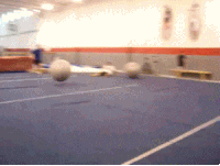 Excercise GIFs - Get the best gif on GIFER