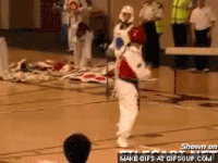Talon GIFs - Get the best gif on GIFER