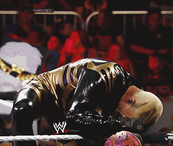 G wwe GIF - Conseguir o melhor gif em GIFER