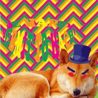 Pathway GIFs - Get the best gif on GIFER