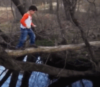 Bridge GIFs - Get the best gif on GIFER