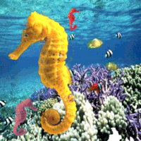 El mar GIF - Conseguir el mejor gif en GIFER