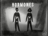 Endocrine GIF - Conseguir o melhor gif em GIFER