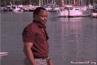 Respekt GIFs - Get the best gif on GIFER